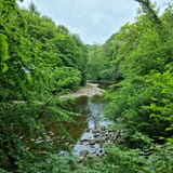 Hackfall Explorer, North Yorkshire, England - 404 Reviews, Map | AllTrails