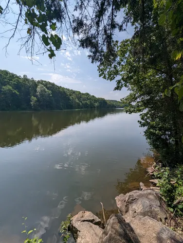 Best Hikes and Trails in Lake Alma Wildlife Observation Trail and Park ...