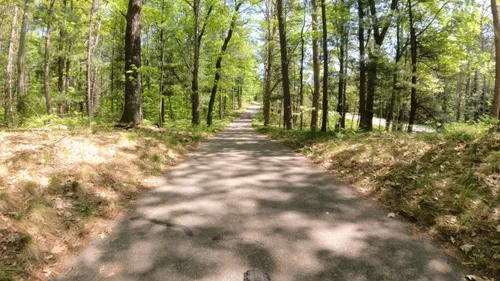 Best Hikes and Trails in Hartwick Pines State Park | AllTrails