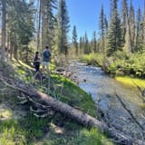 Government Springs 95A, Arizona - 508 Reviews, Map | AllTrails