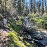 Government Springs 95A, Arizona - 508 Reviews, Map | AllTrails