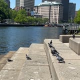 Providence River Walk, Rhode Island - 318 Reviews, Map | AllTrails