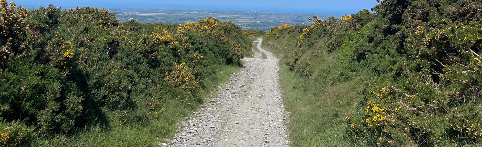 Millennium Way, Rushen, Isle of Man - 3 Reviews, Map | AllTrails