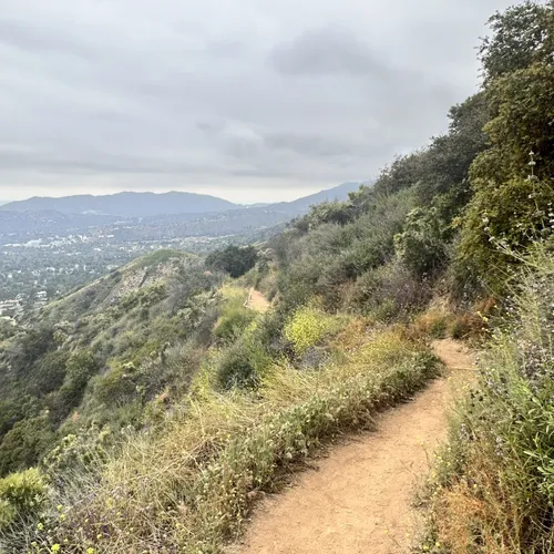 Best Waterfall Trails in Altadena | AllTrails