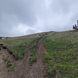 Ma Butte Trail, Alberta, Canada - 34 Reviews, Map | AllTrails