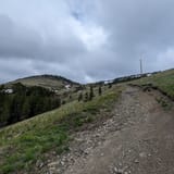 Ma Butte Trail, Alberta, Canada - 34 Reviews, Map | AllTrails