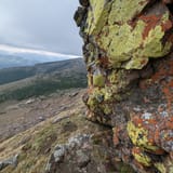 Ma Butte Trail, Alberta, Canada - 36 Reviews, Map | AllTrails