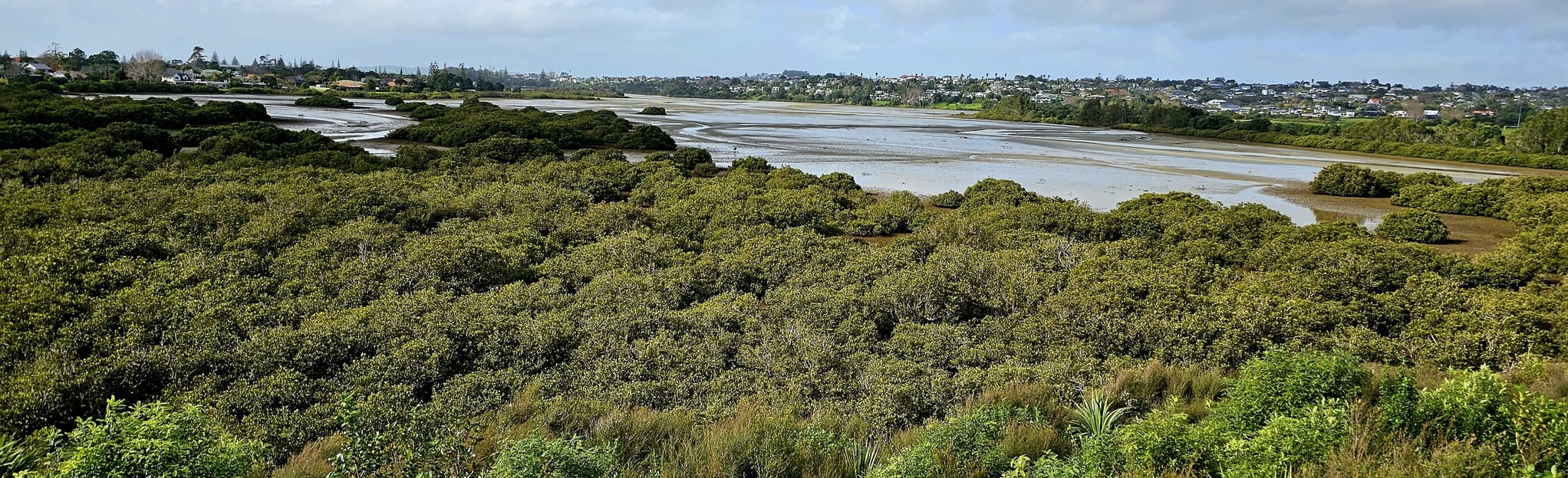 Te Ara Tahuna Estuary Cycleway and Walkway: 95 fotos - Auckland, Nova ...