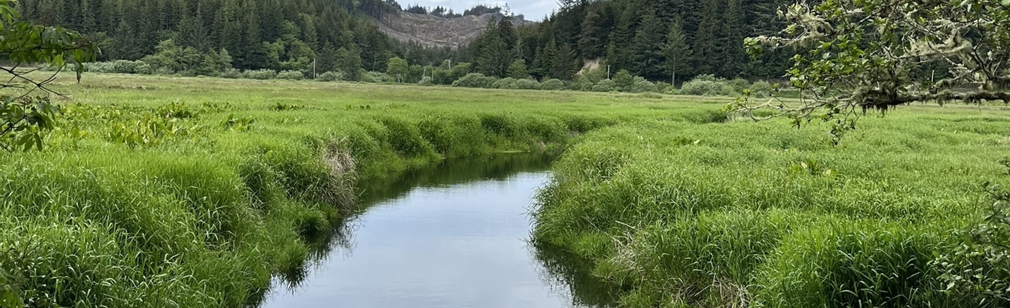 Beaver Creek Loop Trail , Oregon - 157 Reviews, Map | AllTrails