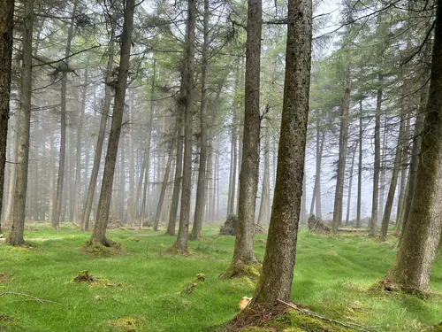 Best Hikes and Trails in Dodder Valley Park | AllTrails