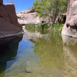 The Jug Canyoneering Route, Arizona - 275 Reviews, Map | AllTrails