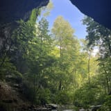 Buggytop Trail to Lost Cove Cave, Tennessee - 700 Reviews, Map | AllTrails