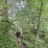 Buggytop Trail to Lost Cove Cave, Tennessee - 700 Reviews, Map | AllTrails