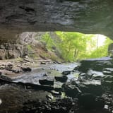Buggytop Trail to Lost Cove Cave, Tennessee - 700 Reviews, Map | AllTrails
