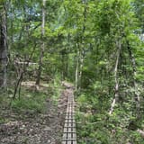 Buggytop Trail to Lost Cove Cave, Tennessee - 700 Reviews, Map | AllTrails