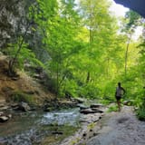 Buggytop Trail to Lost Cove Cave, Tennessee - 700 Reviews, Map | AllTrails