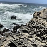 Salt Point Trail to Stump Beach, California - 613 Reviews, Map | AllTrails