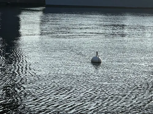 Best Hikes and Trails in Fall River Heritage State Park | AllTrails