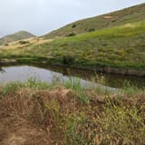 Autumn Ridge Trail, California - 397 Reviews, Map | AllTrails