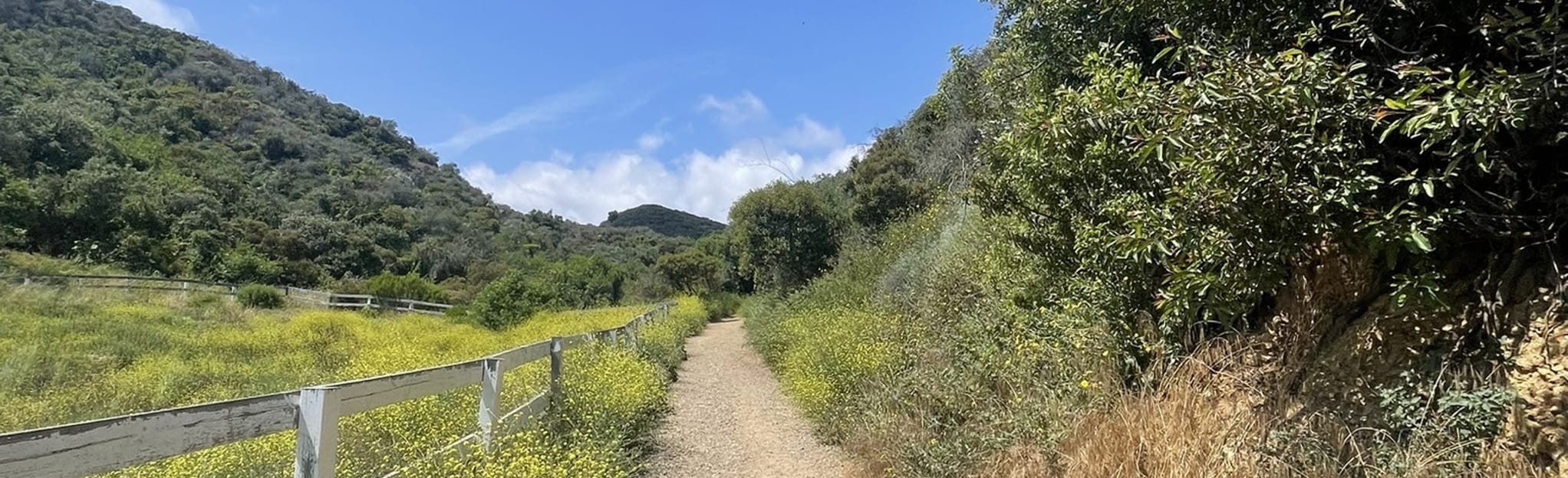 Inspiration Loop Trail: 1,575 Reviews, Map - California | AllTrails