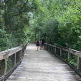 Graham Swamp Trail, Florida - 314 Reviews, Map | AllTrails