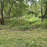 Kinder Farm Park Trail, Maryland - 1,256 Reviews, Map | AllTrails