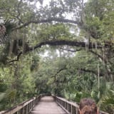 Graham Swamp Trail, Florida - 358 Reviews, Map | AllTrails