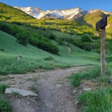 Dry Canyon Trail, Utah - 543 Reviews, Map | AllTrails