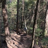 Mount Coot-tha Summit Trail, Queensland, Australia - 647 Reviews, Map ...