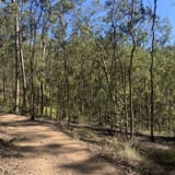 Mount Coot-tha Summit Trail, Queensland, Australia - 634 Reviews, Map ...
