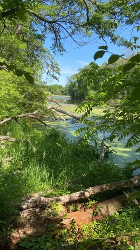 Best Hikes and Trails in Weldon Springs State Park | AllTrails