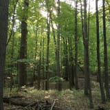 Lookout Ridge Loop and Skyline Overlook, Ohio - 709 Reviews, Map ...