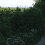 Lookout Ridge Loop and Skyline Overlook, Ohio - 709 Reviews, Map ...