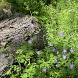 Appalachian Trail: Connecticut Section, Connecticut - 34 Reviews, Map ...