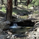 Schultz Creek Trail, Arizona - 418 Reviews, Map | AllTrails