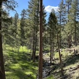 Schultz Creek Trail, Arizona - 418 Reviews, Map | AllTrails