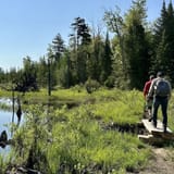 Cat Mountain Trail, New York - 178 Reviews, Map | AllTrails