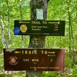 Cat Mountain Trail, New York - 218 Reviews, Map | AllTrails