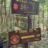 Cat Mountain Trail, New York - 178 Reviews, Map | AllTrails