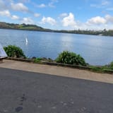 Orakei Basin Walkway, Auckland, New Zealand - 356 Reviews, Map | AllTrails