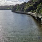 Orakei Basin Walkway, Auckland, New Zealand - 356 Reviews, Map | AllTrails