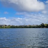 Orakei Basin Walkway, Auckland, New Zealand - 356 Reviews, Map | AllTrails