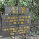Little Lake Creek Wilderness South Loop, Texas - 165 Reviews, Map ...