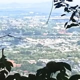 Gunung Lambak (North) via Kluang Big Tree, Johor, Malaysia - 21 Reviews ...