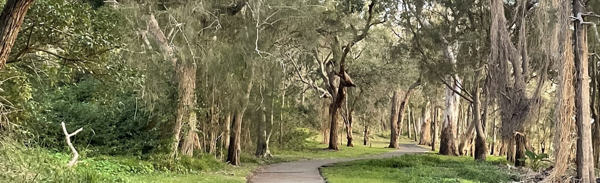 Budgewoi Lake Explorer: 6 Reviews, Map - New South Wales, Australia ...