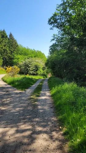 Best Walking Trails in Hadsten | AllTrails