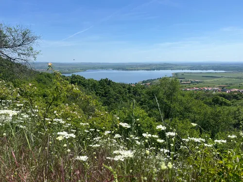Best Forest Trails in Chráněná Krajinná Oblast (CHKO) Pálava | AllTrails
