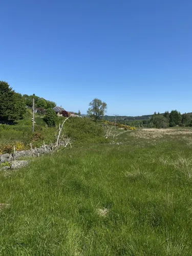 10 Best Trails, Walks, and Paths in Dunkeld | AllTrails