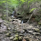 Devil's Racetrack Trail, Tennessee - 566 Reviews, Map | AllTrails