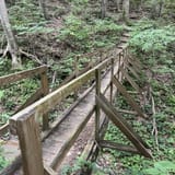 Devil's Racetrack Trail, Tennessee - 566 Reviews, Map | AllTrails